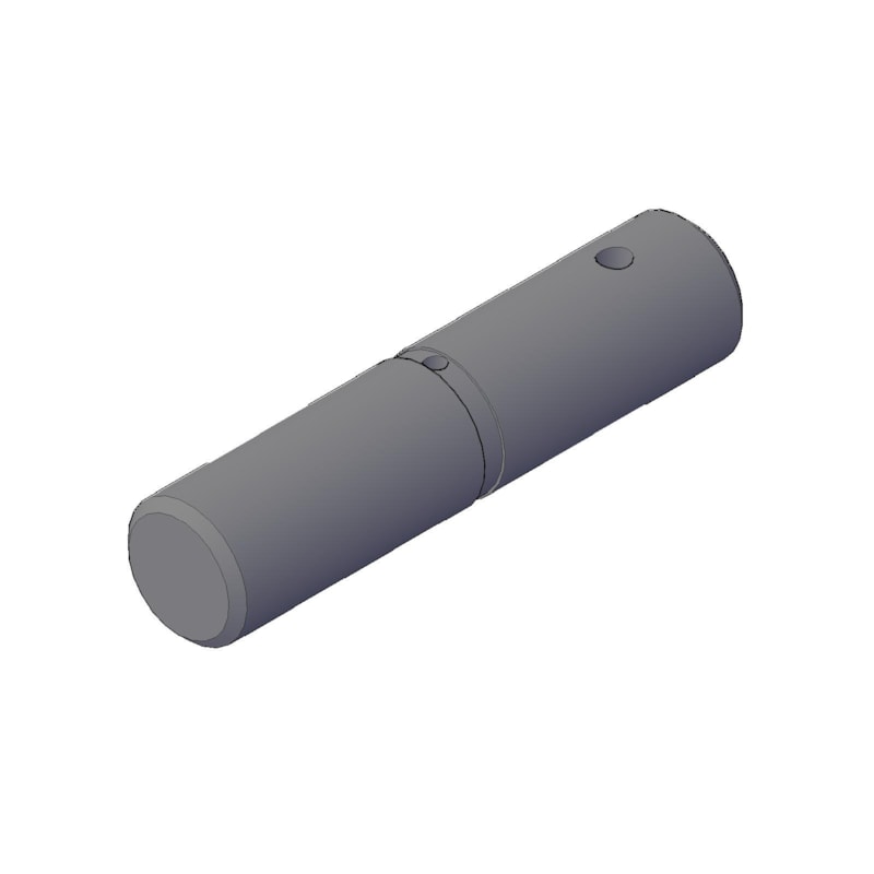 PT 8001-T - Pino de balança do truck Pastre - Obenaus Virtual